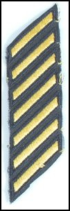 Service Stripes Female-Dress Green-Seven (21 Years)