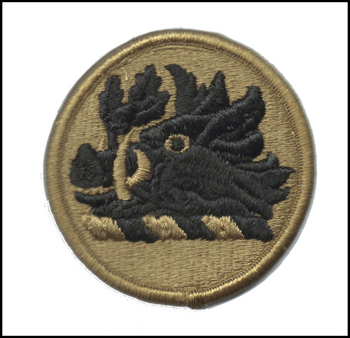 Patch-Georgia National Guard-OCP with hook fastener