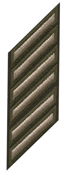 Service Stripes Male - AGSU (Pinks & Greens) Six (18 Years)