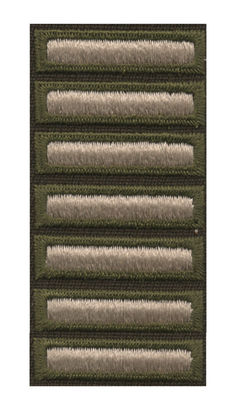Combat Service Stripes - Male AGSU (Pinks & Greens) Seven (42 Months)