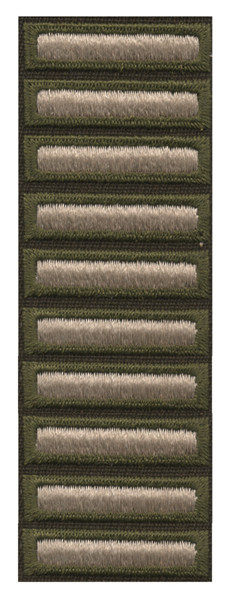 Combat Service Stripes - Male AGSU (Pinks & Greens) Ten (60 Months)