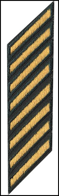 Service Stripes-Female Dress Green-Eight (24 Years)