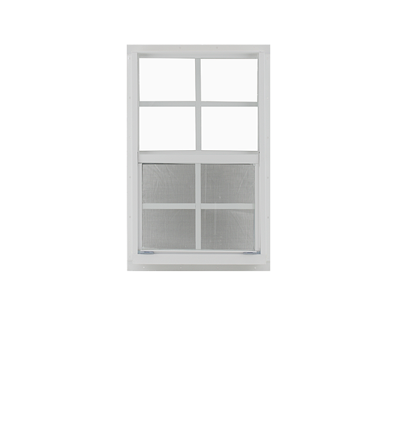Shed Windows