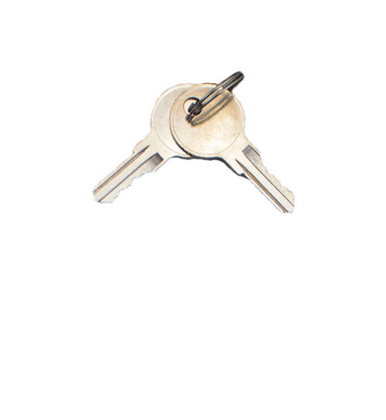 Spare Keys (1 Pair) For T-handle Locks FREE SHIPPING