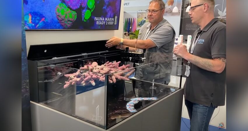 DIY Floating Reef 12mm Rimless Aquarium - Fauna Marin - BIGShowFrags.com