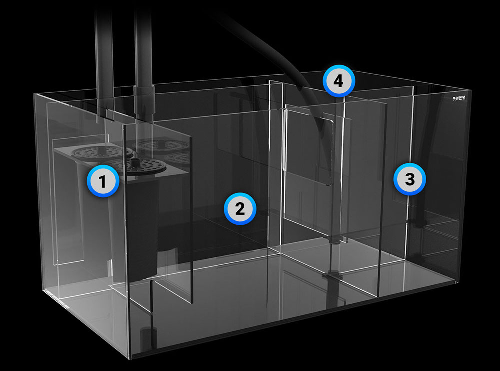 Marine X 90.3 - Waterbox Aquariums™