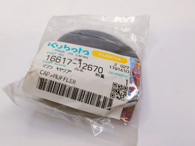 16617-12670 CAP