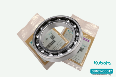 08101-06017 BEARING