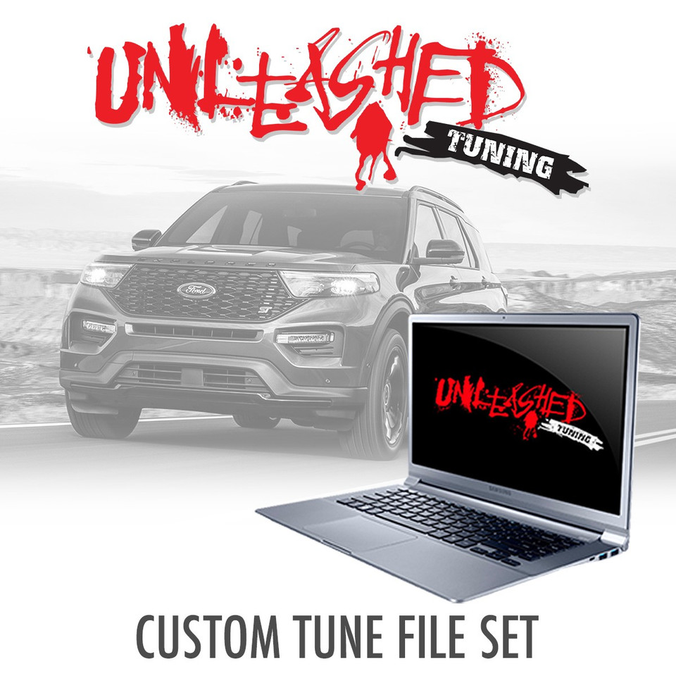 Custom Tuning - Unleashed Tuning