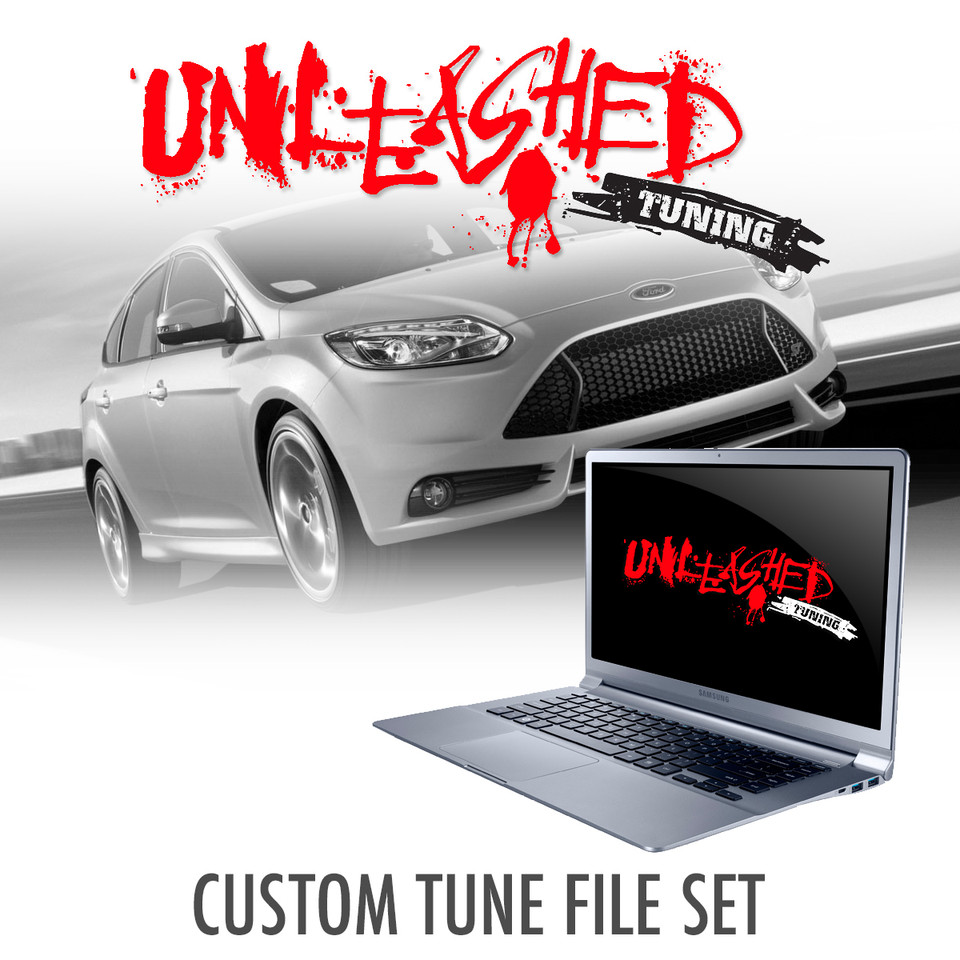 BDX Unleashed REV-X Custom Tuner