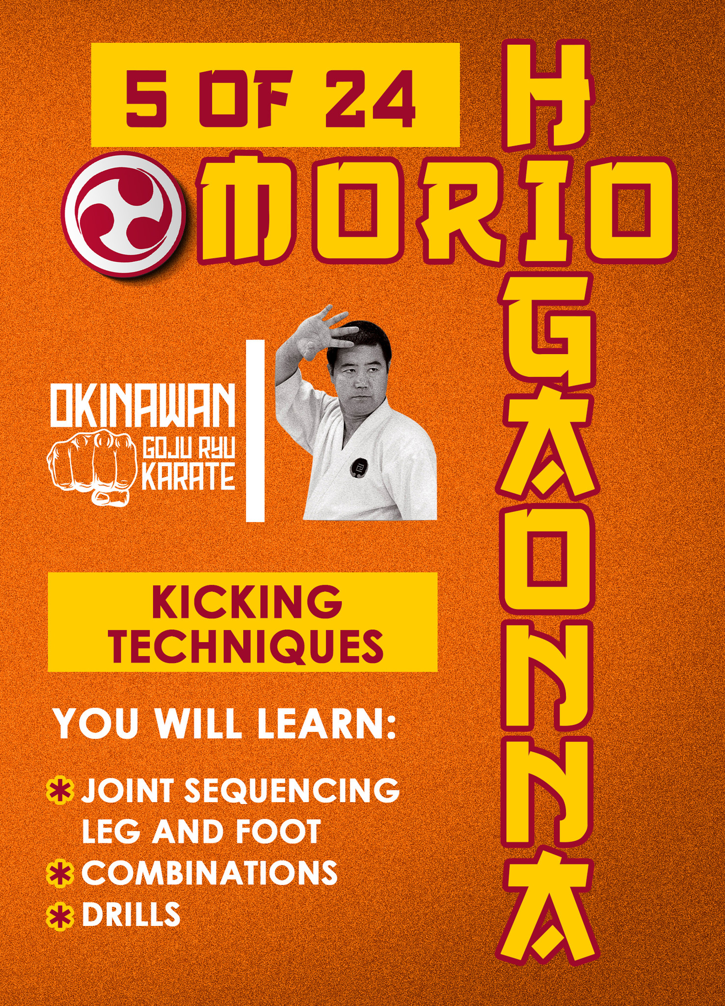 Mastering Traditional Okinawan Goju-Ryu - Vol.5