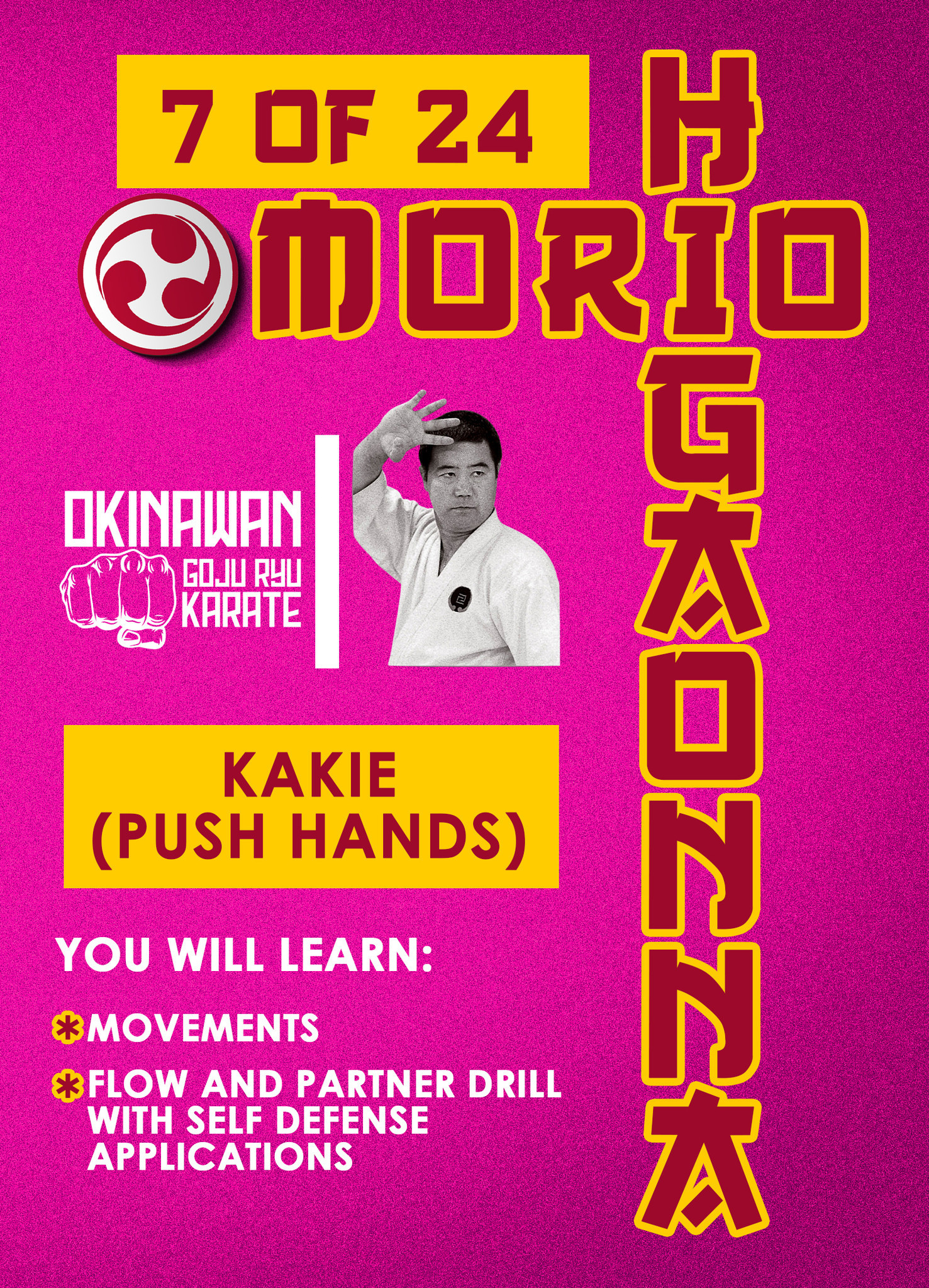 Mastering Traditional Okinawan Goju-Ryu - Vol.7