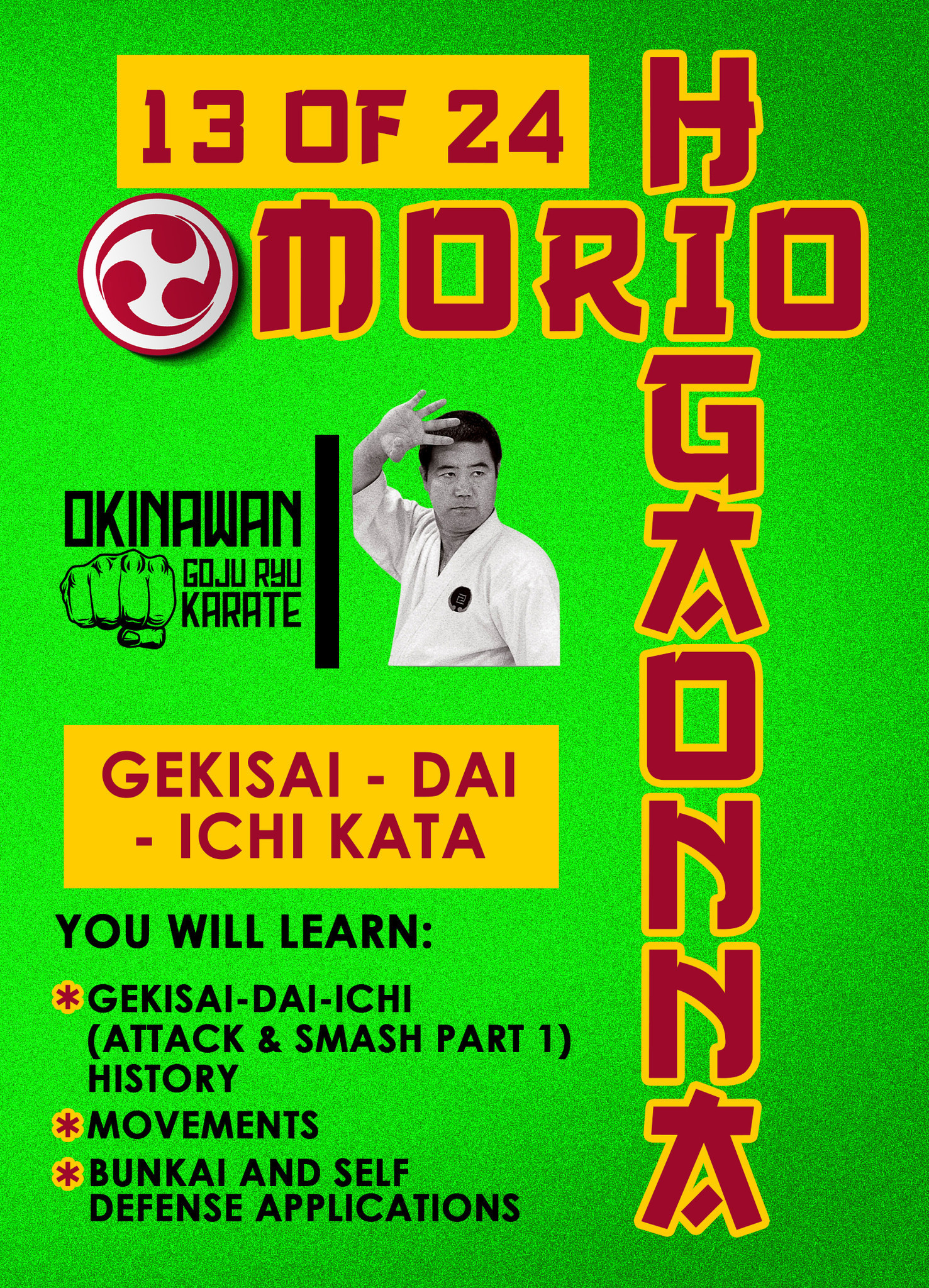 Mastering Traditional Okinawan Goju-Ryu - Vol.13