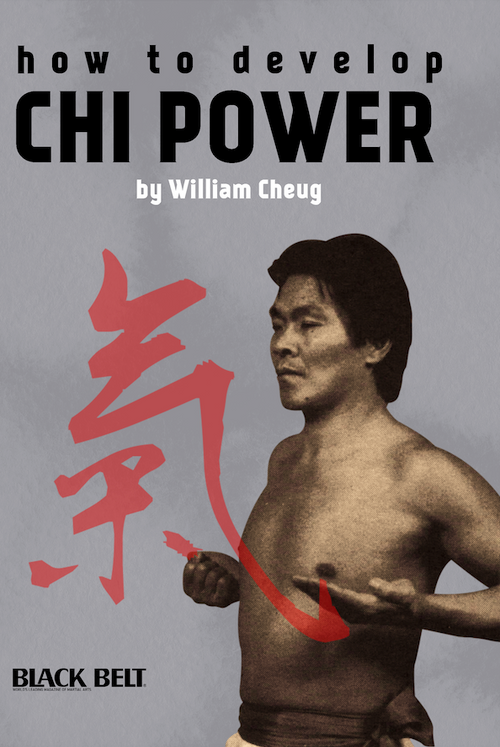 How To Develop Chi Power ( Book ) - Digital Download - Warrener ...
