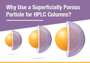 The Difference Between Superficially Porous and Fully Porous Particles - Chrom Tech, Inc.