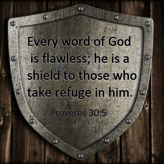 What is the meaning of Proverbs 30:5? - Shields of Strength