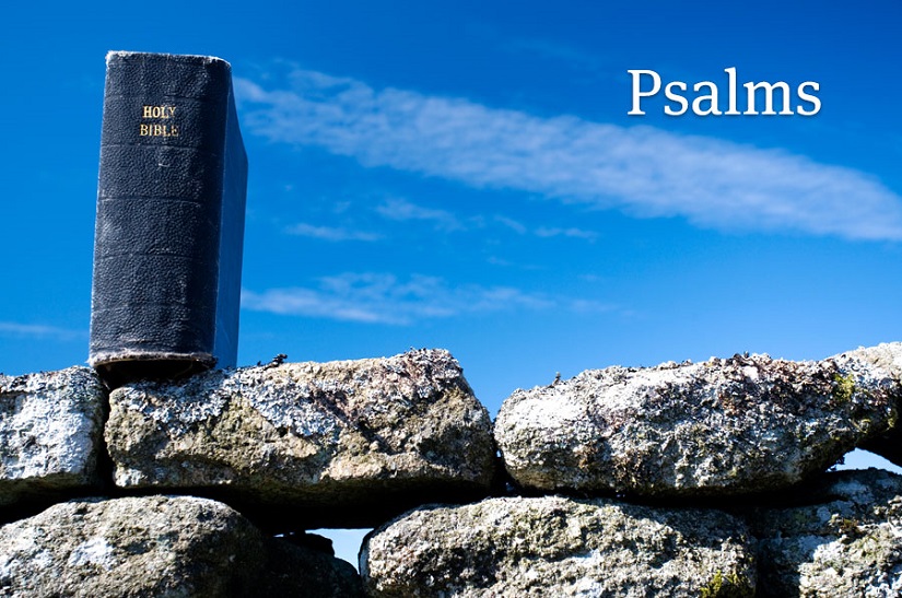 A Psalm a Day Keeps ... - Shields of Strength