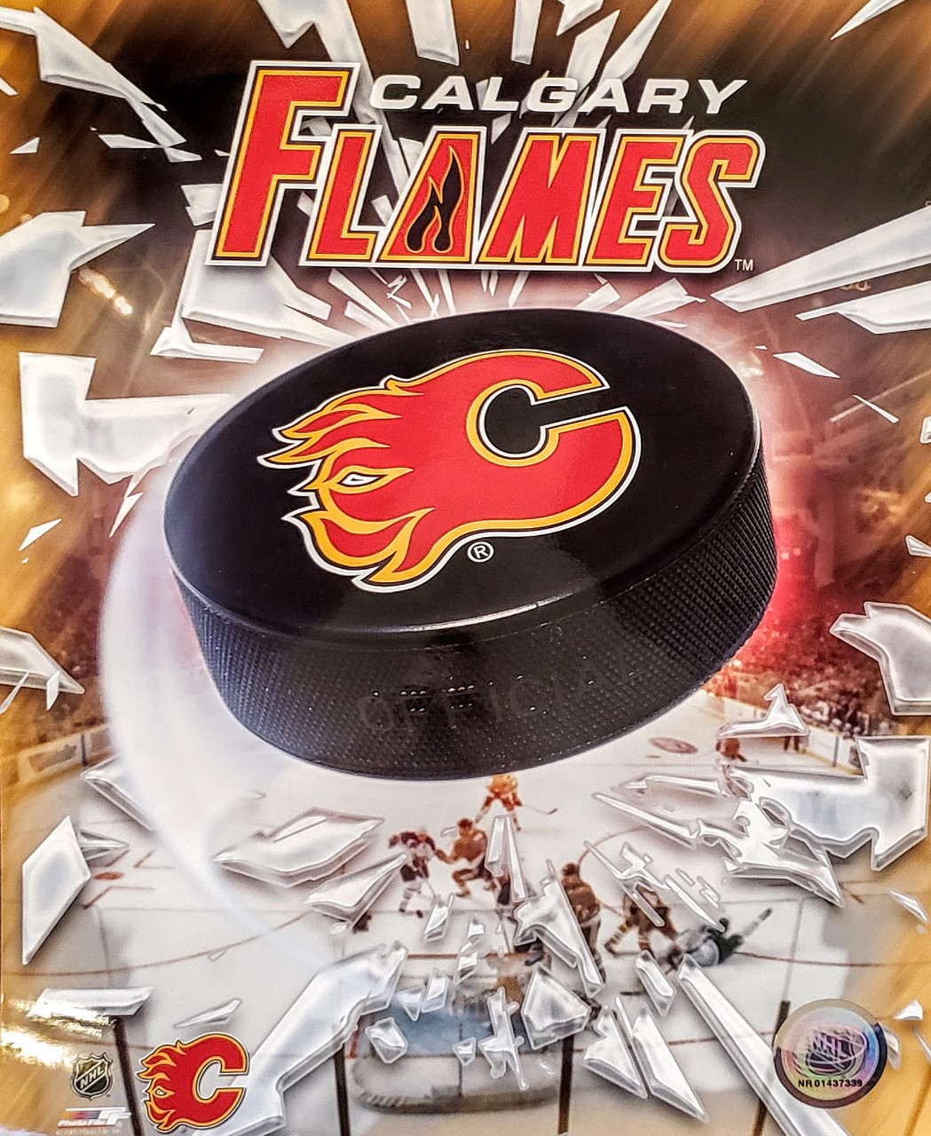 Calgary Flames NHL Logo Photo - 8" x 10" - Dragon Sports