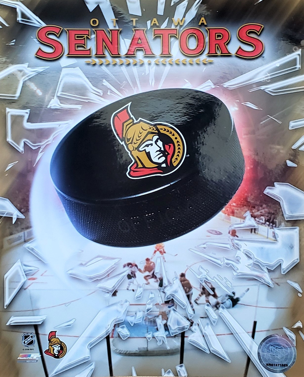 Ottawa Senators NHL Logo Photo - 8" x 10" - Dragon Sports