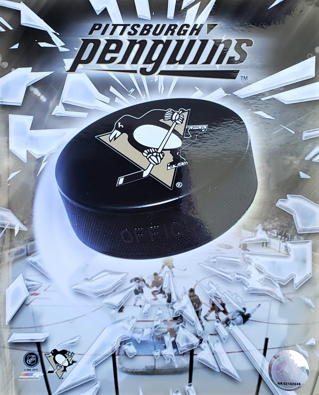 Pittsburgh Penguins NHL Logo Photo - 8" x 10" - Dragon Sports