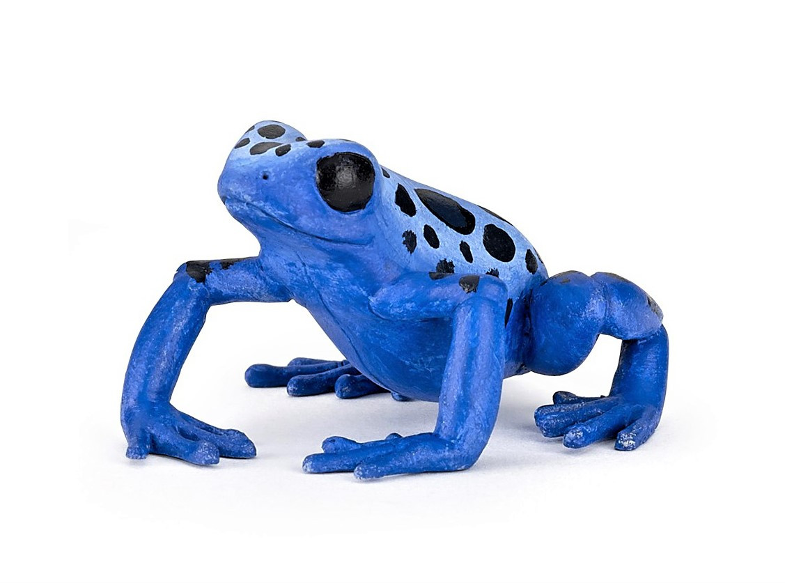 Equatorial Blue Frog Toy Animal Figure - Wild Animal Kingdom - Dragon ...