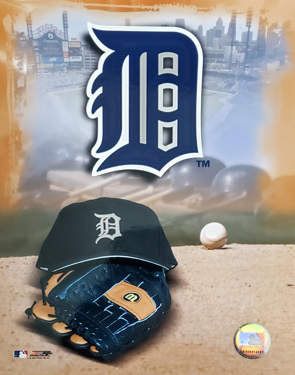 Detroit Tigers MLB Logo Photo - 8" x 10" - Dragon Sports