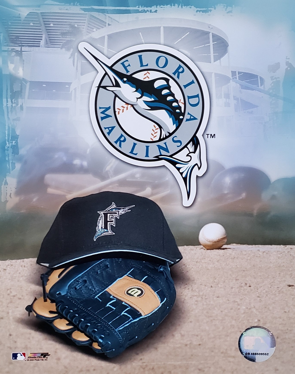 Florida Marlins MLB Logo Photo - 8" x 10" - Dragon Sports