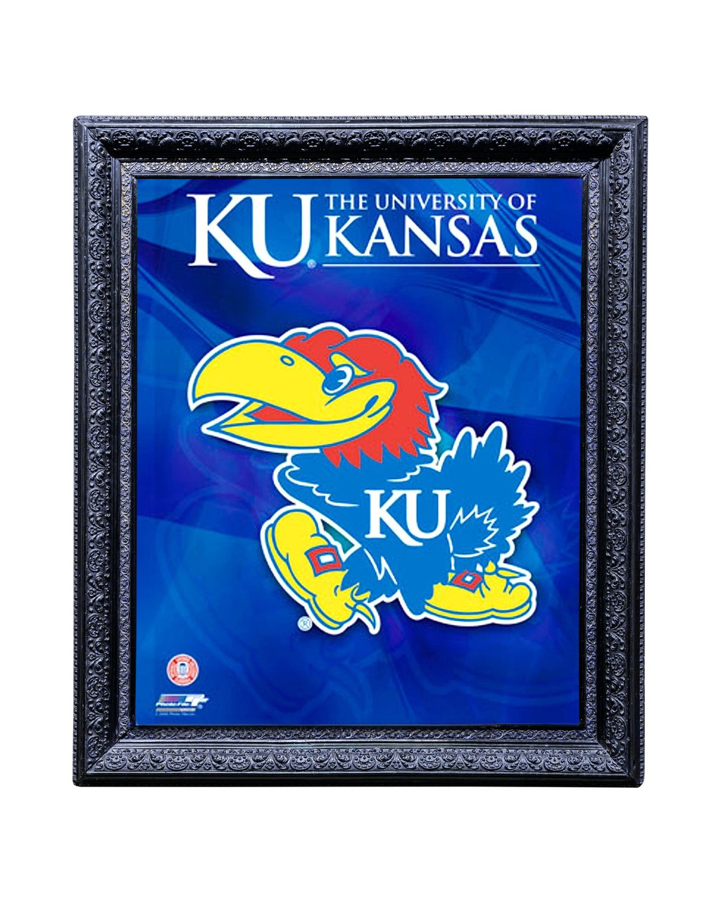 Kansas Jayhawks NCAA Logo Photo Print (8" x 10") - Dragon Sports