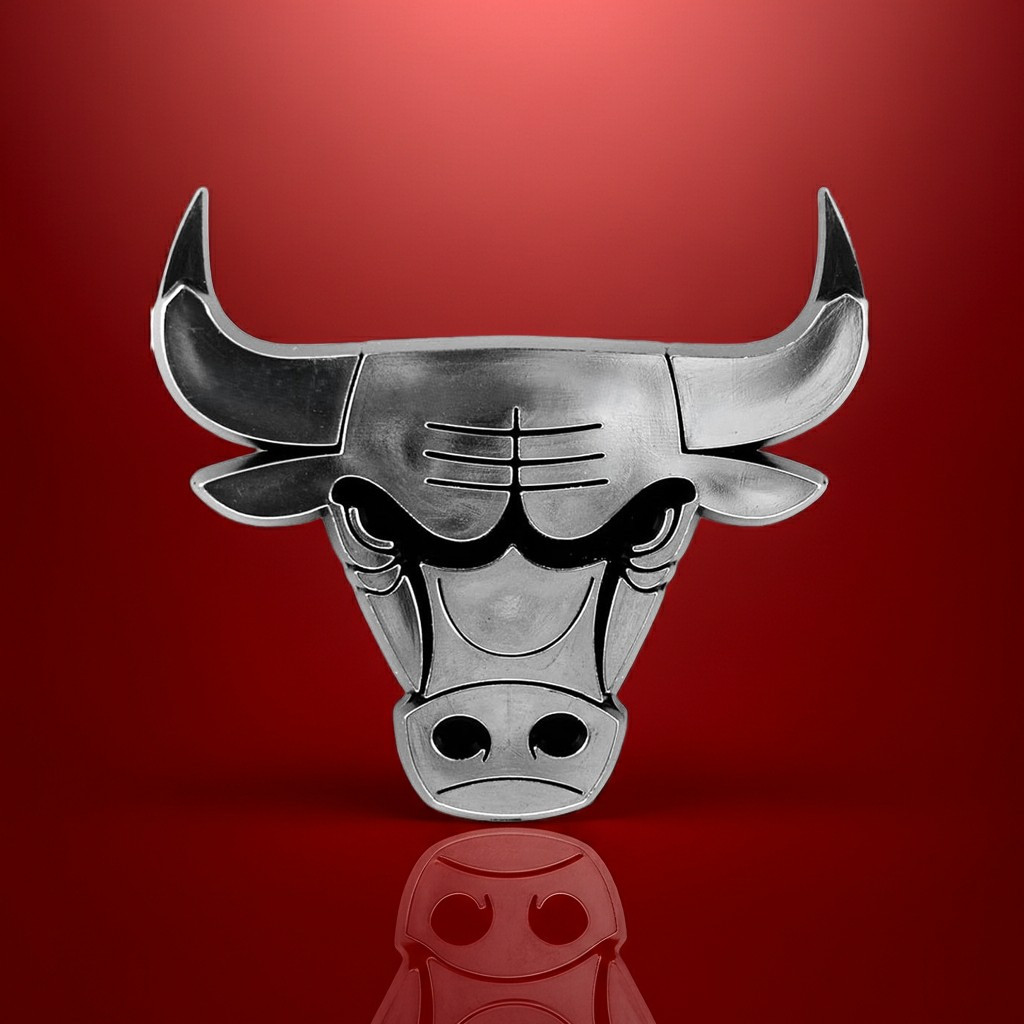 Chicago Bulls NBA Basketball Chrome Logo Emblem - Dragon Sports