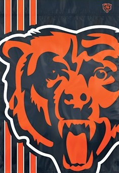 bears logo nfl