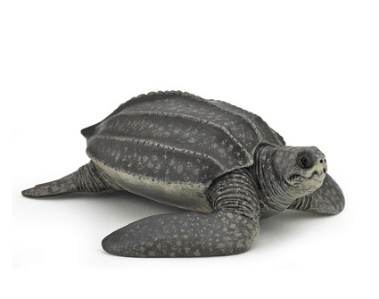 Leatherback Turtle Toy Animal Figure - Wild Animal Kingdom - Dragon Sports