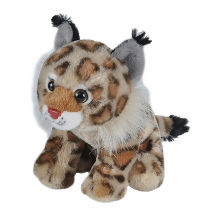 Bobcat Plush Stuffed Animal Toy - Dragon Sports