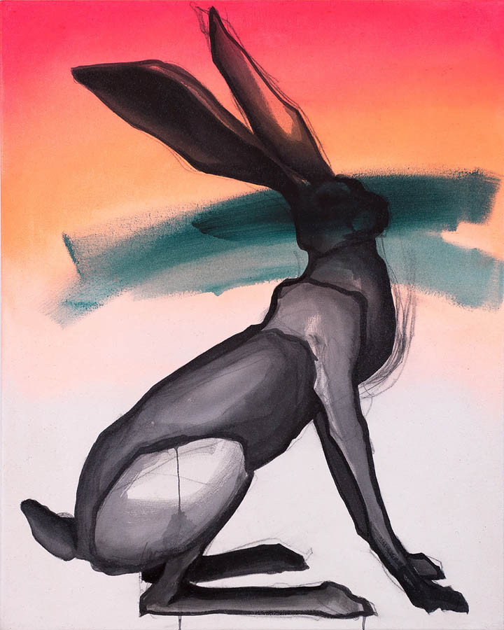 Black Rabbit II - Wonderwall Studio