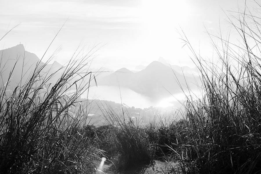 BW Landscape II - Wonderwall Studio