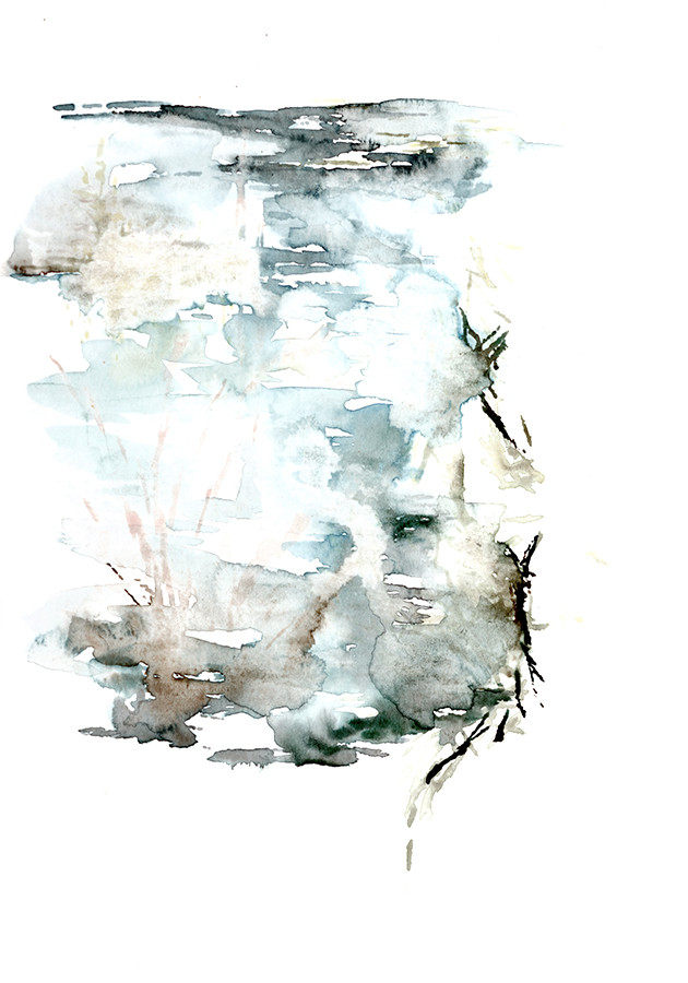 Shore IV - Wonderwall Studio