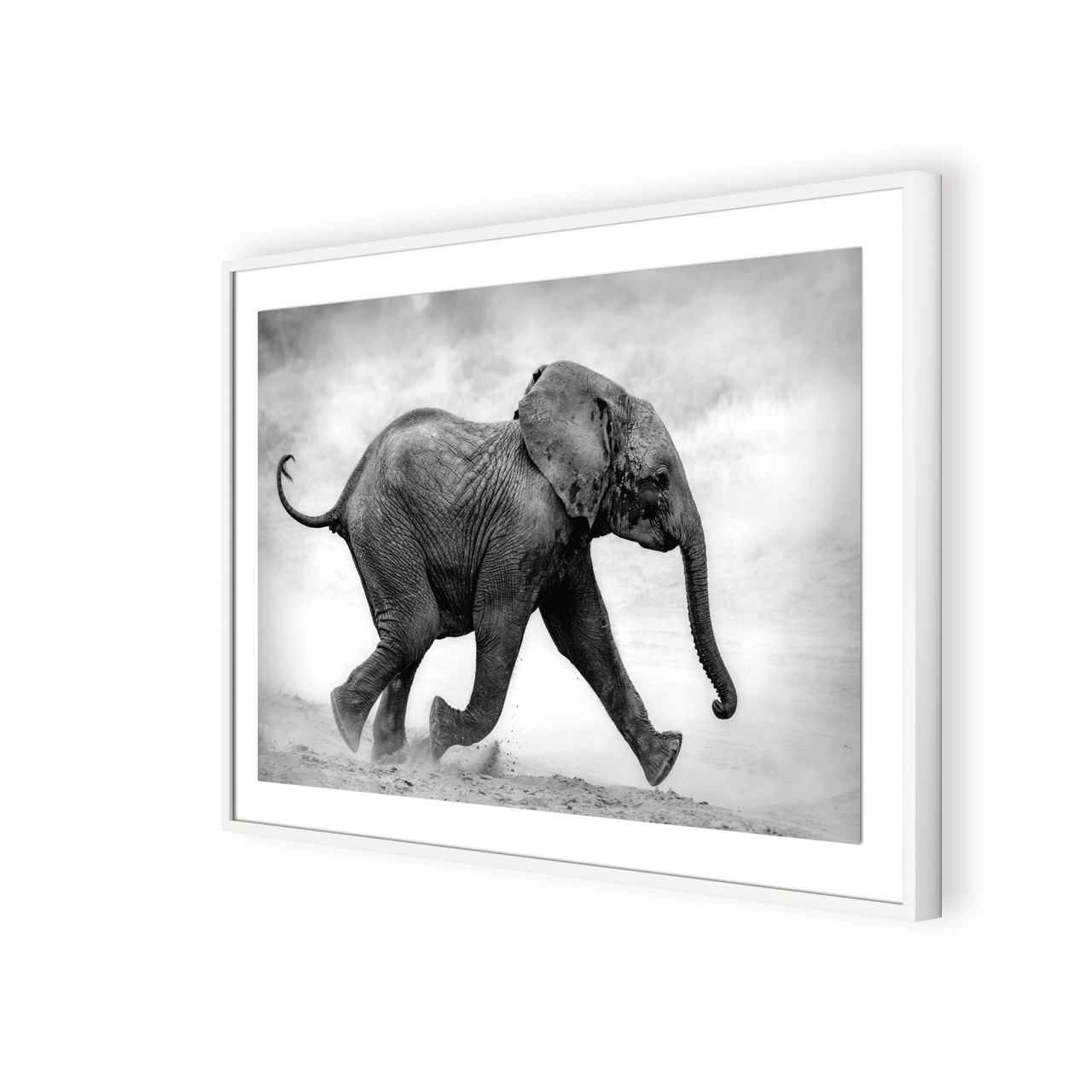Elephant Calf on the Run - Wonderwall Studio