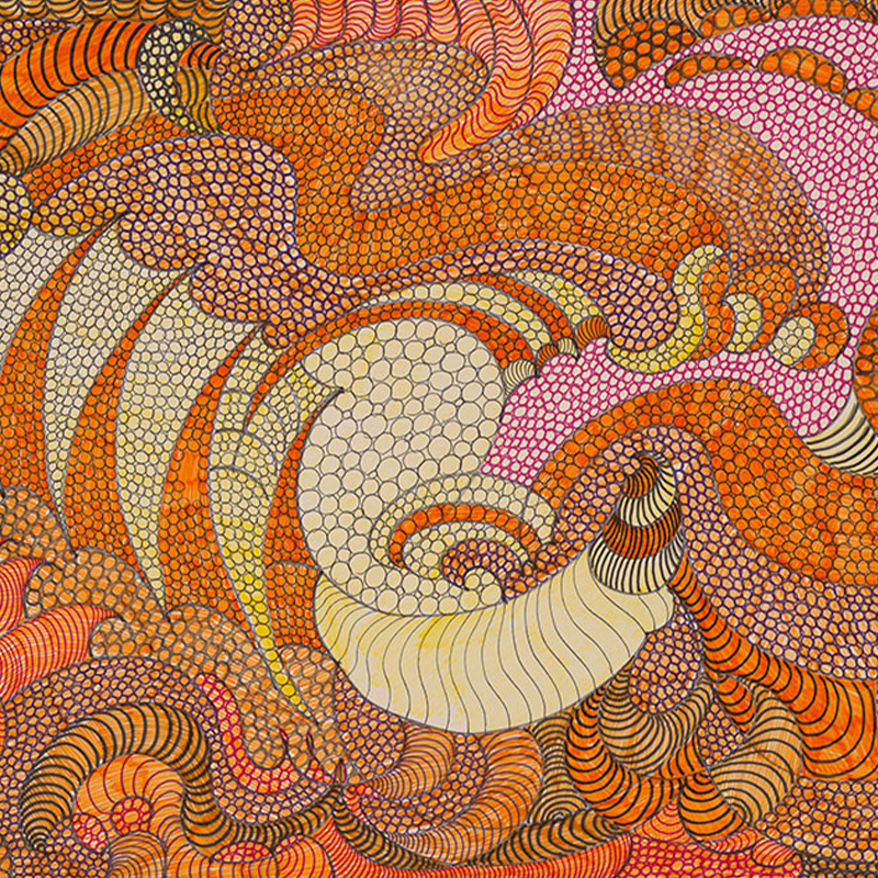 Wonderwall Studio, a Boutique Print Art Gallery in Austin, Texas