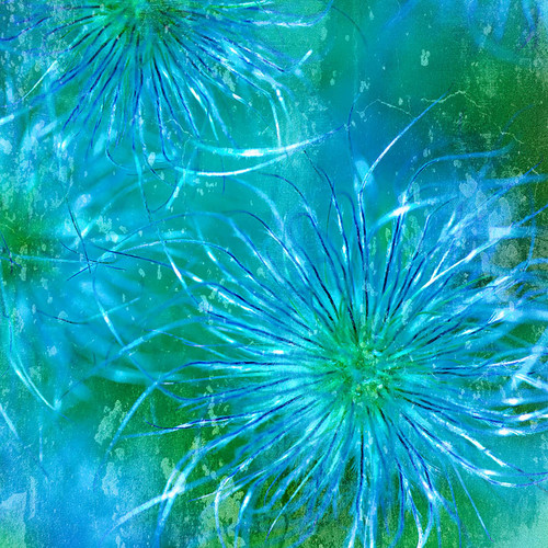 Color Story Blue - Wonderwall Studio