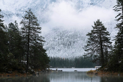 Winter Lake - Wonderwall Studio