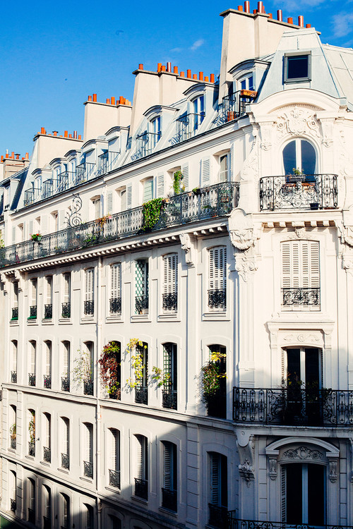 Paris Buildings - Wonderwall Studio