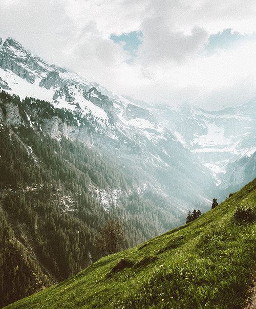 Spring in the Valley | WonderWallStudio.com