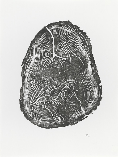 Anatomy Of Locust - Wonderwall Studio