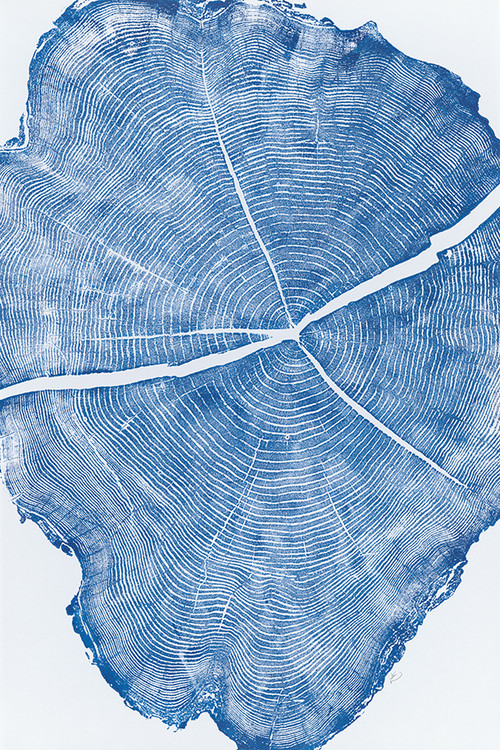 Cropped Blue Locust - Wonderwall Studio