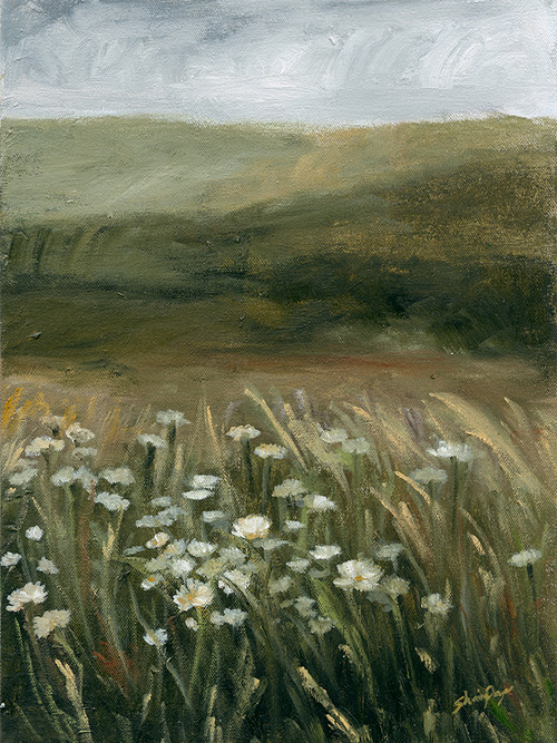 Daisy Field - Wonderwall Studio