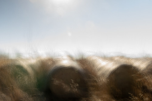 Distorted World - Wonderwall Studio