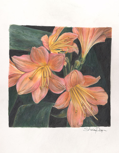 Peach Lily Flower - Wonderwall Studio