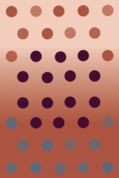 Dot 49 - Wonderwall Studio