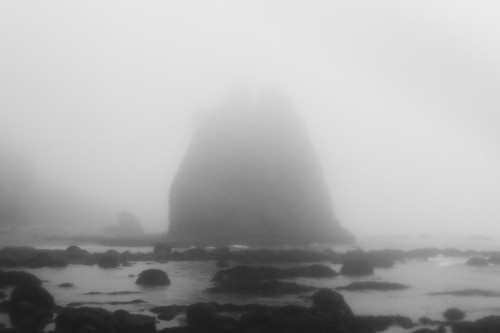 La Push/La Push, Washington - Wonderwall Studio