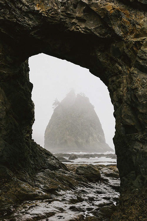 Rialto/La Push, Washington - Wonderwall Studio