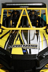 Pro Armor XP1K Asylum Cage System Custom Colors RZR XP 1000